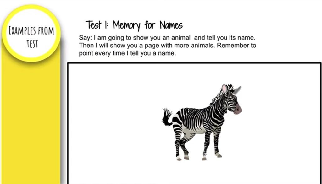 Woodcock Johnson Test of Achievement: Sample - WJ IV Cognitive Abilities