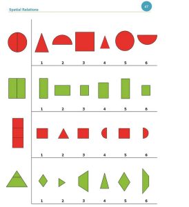 Woodcock Johnson Test of Achievement: Sample - WJ IV Cognitive Abilities