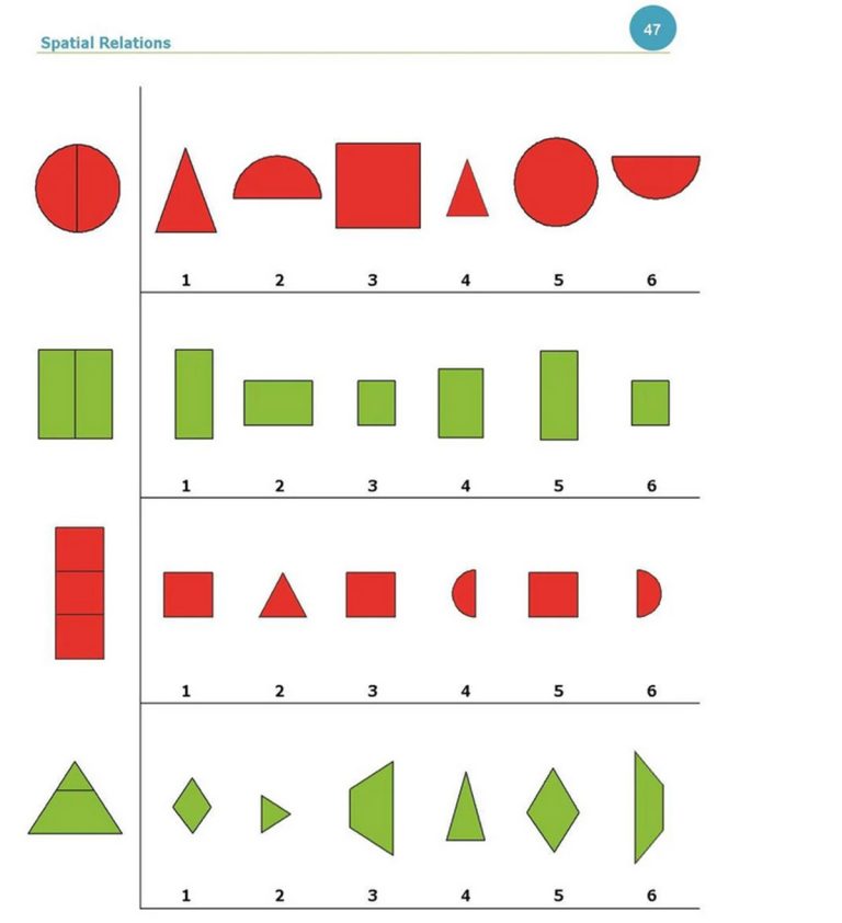 Woodcock Johnson Test of Achievement: Sample - WJ IV Cognitive Abilities